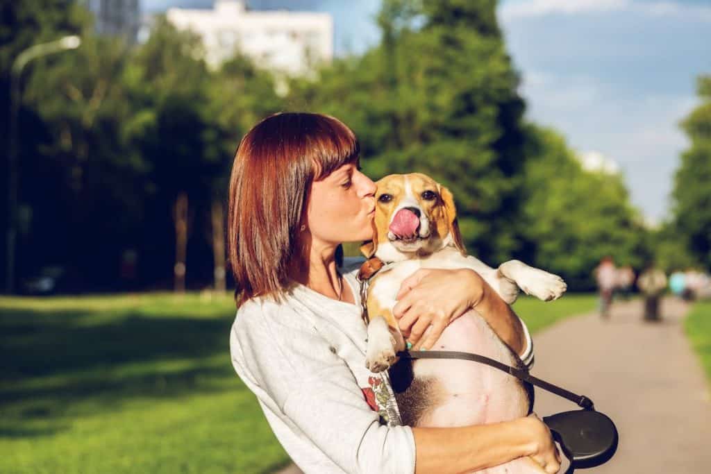 What It Takes To Be a Responsible Pet Owner - PetFriendly.com